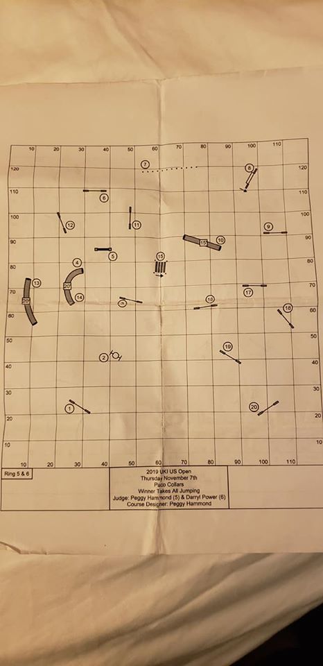 UKI US Open 2019 Experience – Sheyladogs.com